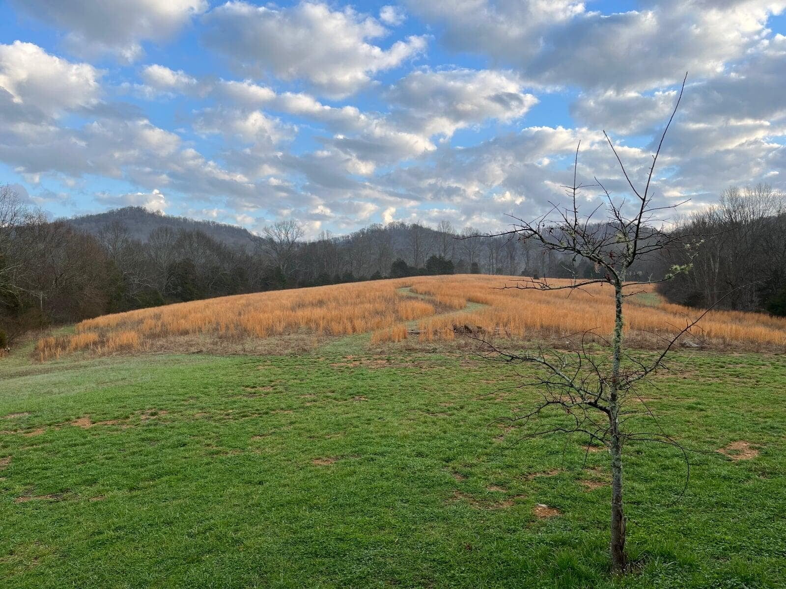 Red Barn Retreat | Jump For Joy Agility